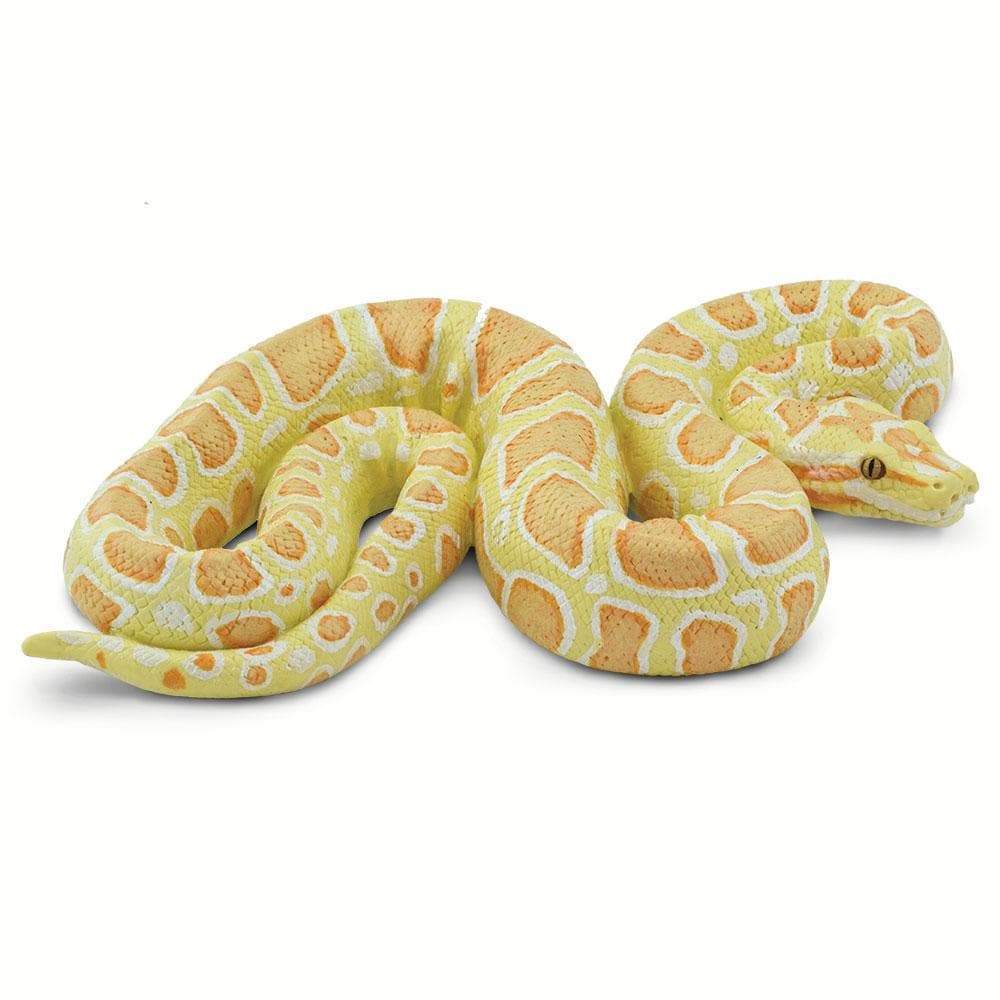 Safari Ltd Albino Burmese Python | Cold Blooded & Bizarre